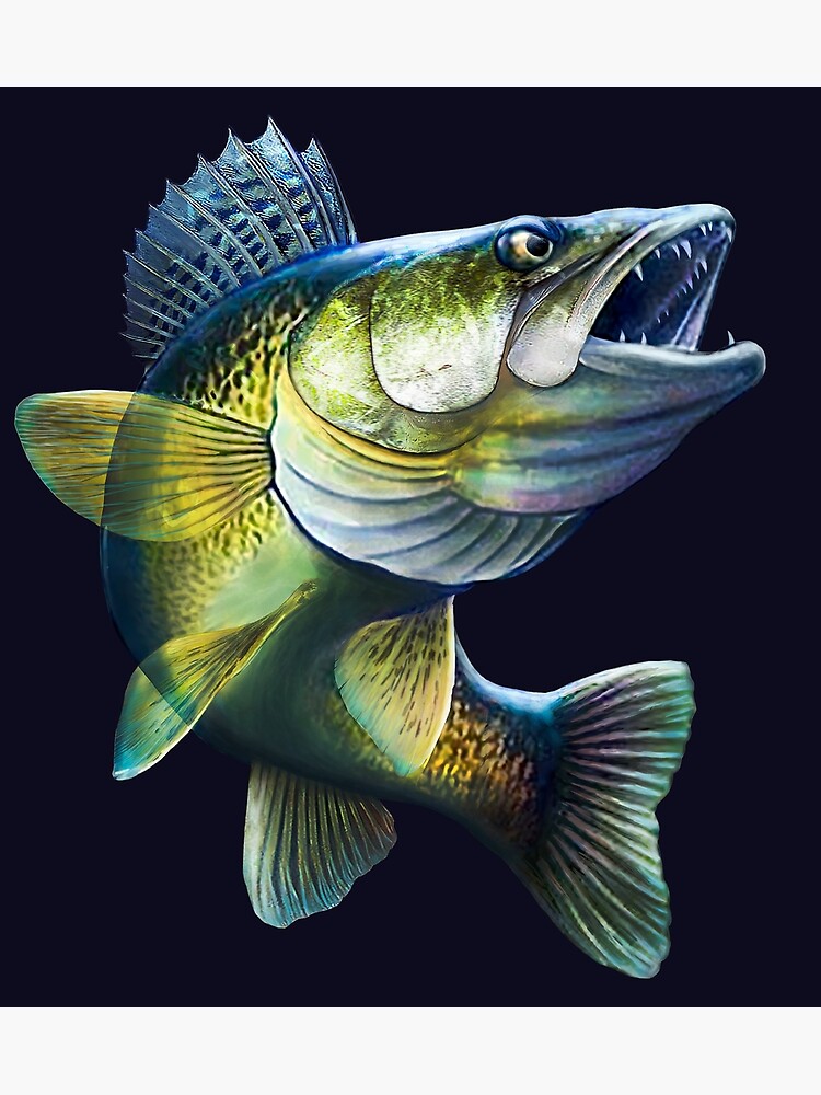"zander color on black background" Poster by zi6orov | Redbubble