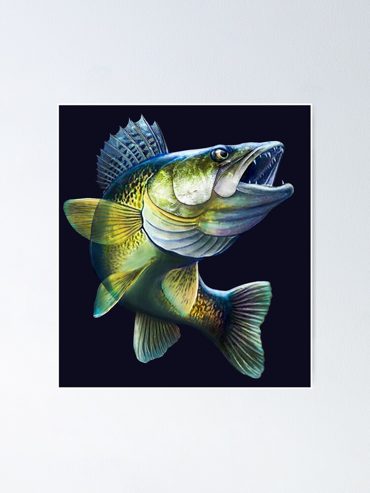 "zander color on black background" Poster by zi6orov | Redbubble