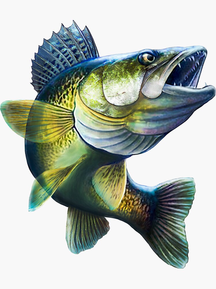 "zander color on black background" Sticker for Sale by zi6orov | Redbubble