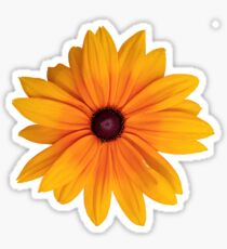 Wildflower: Stickers | Redbubble
