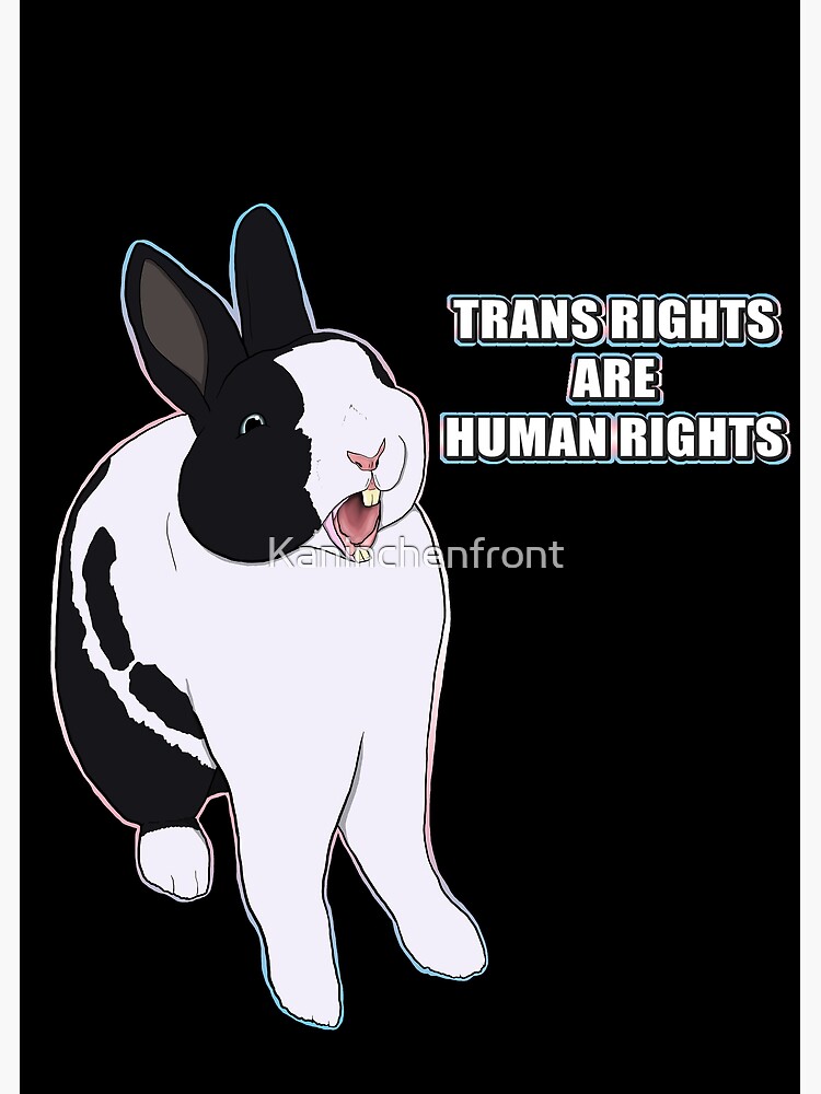 "Trans Rights - Screaming Pride Bunny" Poster for Sale by ...