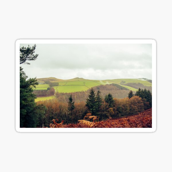 "Forest hills" Sticker by SzendeB | Redbubble