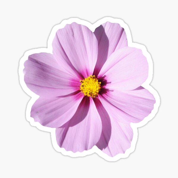 "Flower vaporwave render" Sticker by Vaporwave96kid | Redbubble