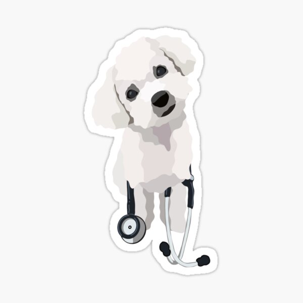 "Doctor Maltese Puppy Dog Stethoscope Portrait Digital Illustration ...