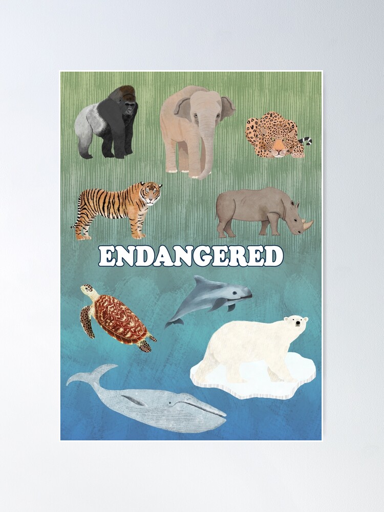 Endangered Animals Poster Set Discontinued