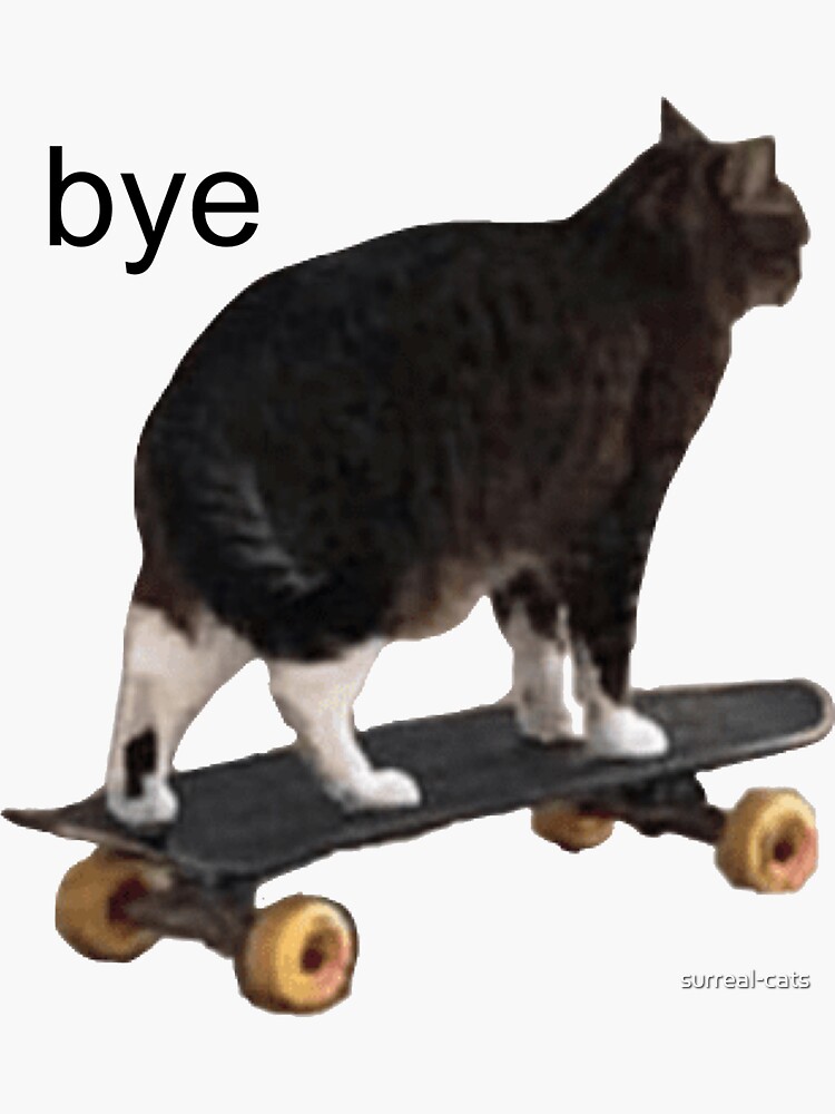 "bye skateboarding cat " Sticker for Sale by surreal-cats | Redbubble