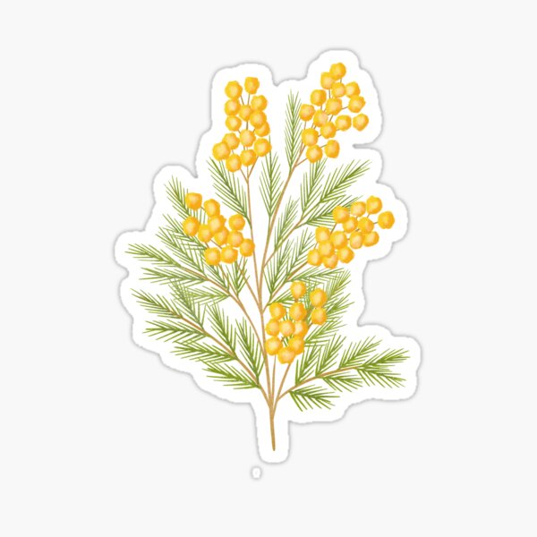 "Mimosa" Sticker for Sale by ohmiastudio | Redbubble