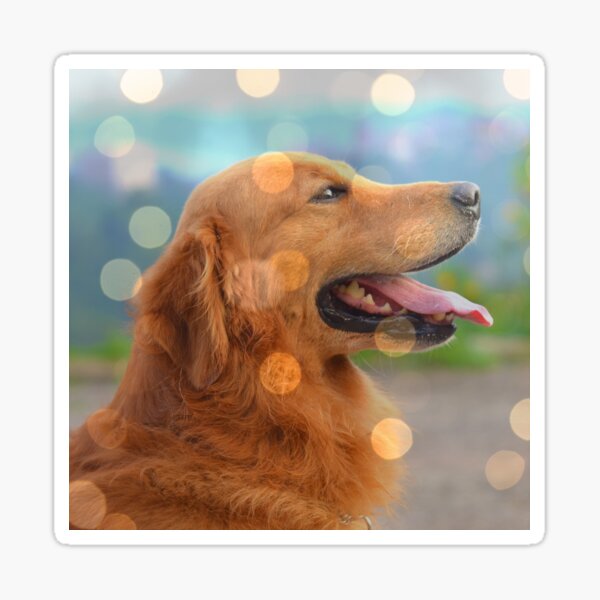 "Dog" Sticker by BakuDesigner | Redbubble