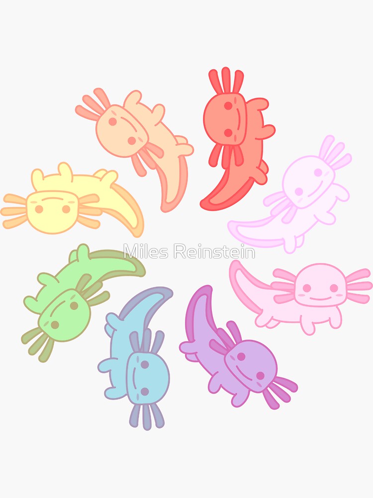 "Rainbow Axolotls!" Sticker for Sale by maya-reinstein | Redbubble