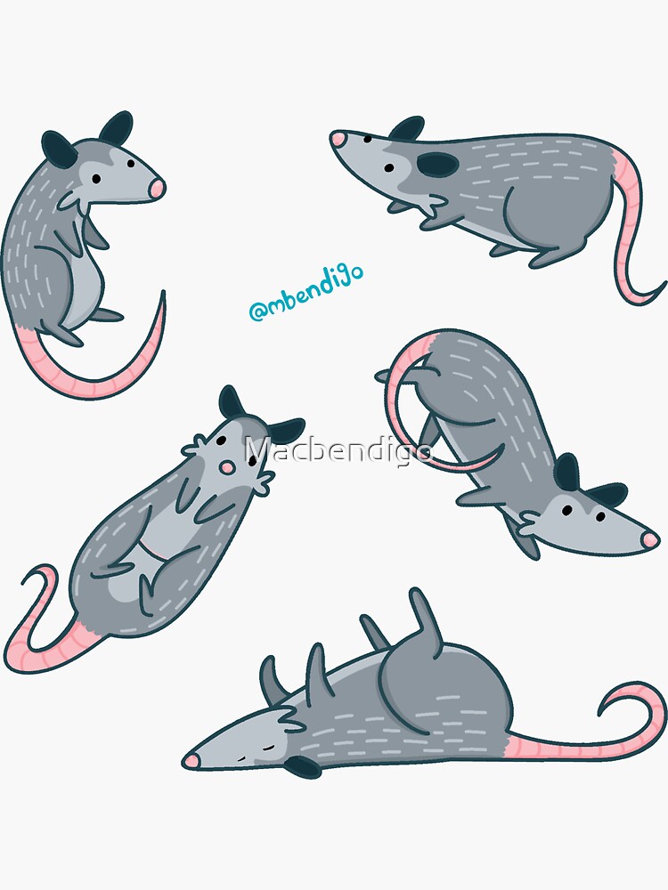 "Opossum Pattern " Sticker for Sale by Macbendigo | Redbubble