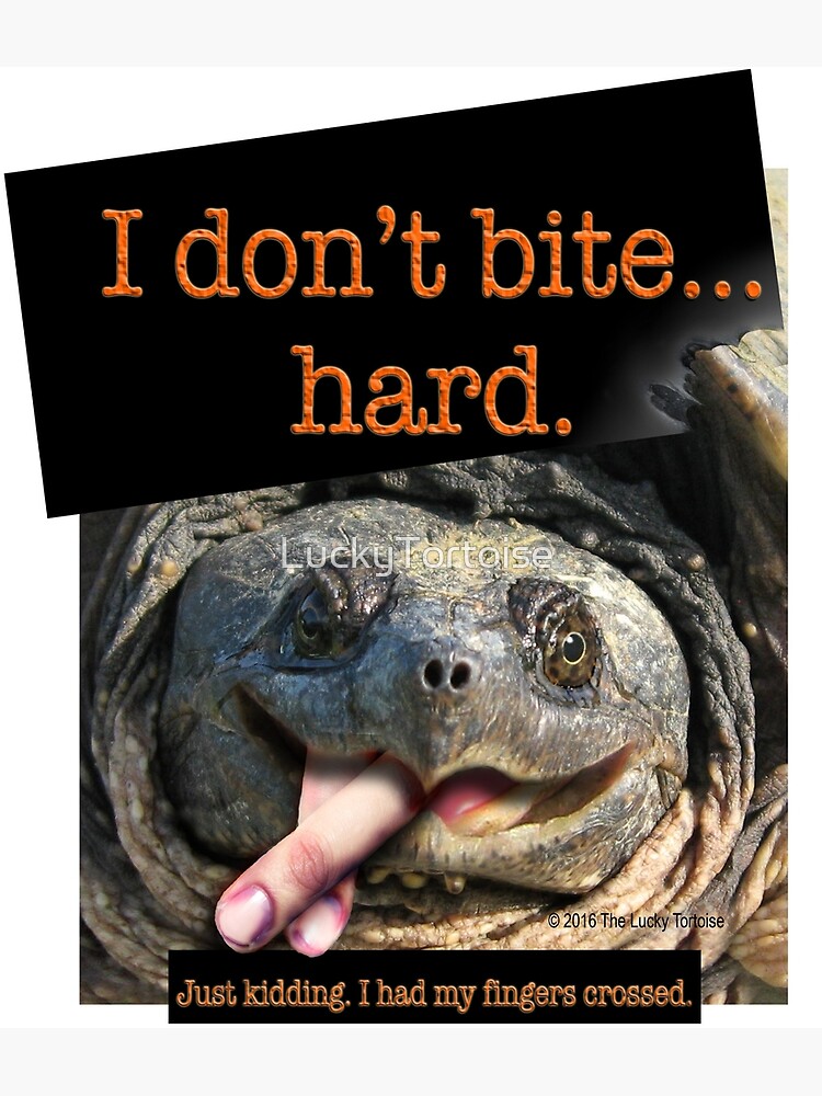 Snapping Turtle Meme