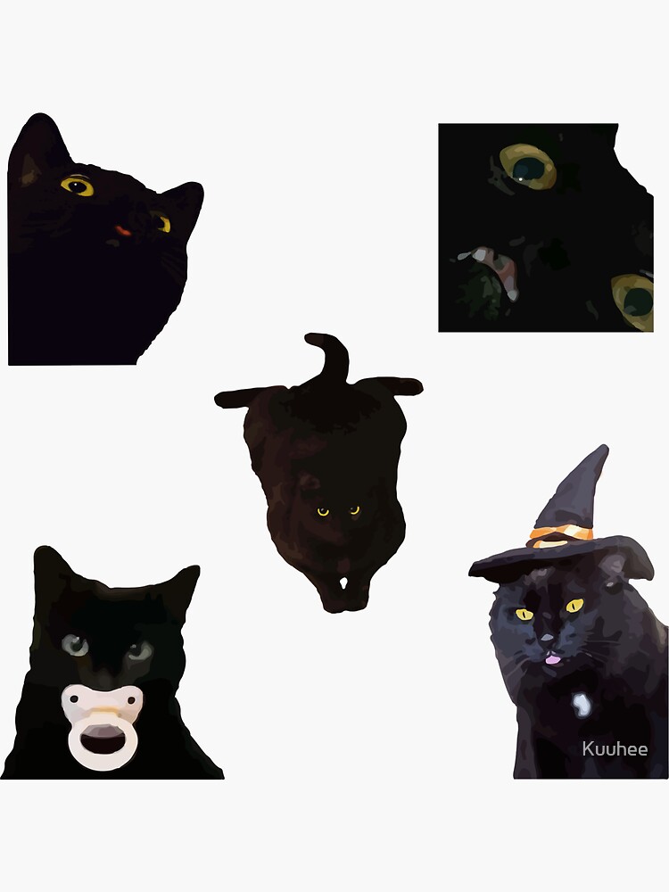 "Cursed black cat meme stickers" Sticker for Sale by Kuuhee | Redbubble