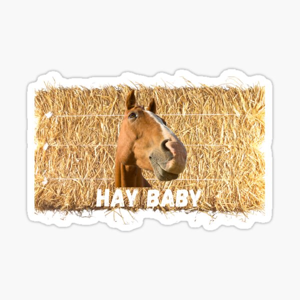 "Hay Baby Horse Equestrian Funny Cute Talking Horse" Sticker by ...