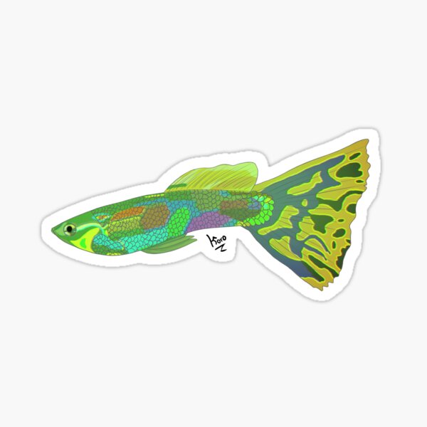 "Guppy" Sticker for Sale by Koroldine | Redbubble