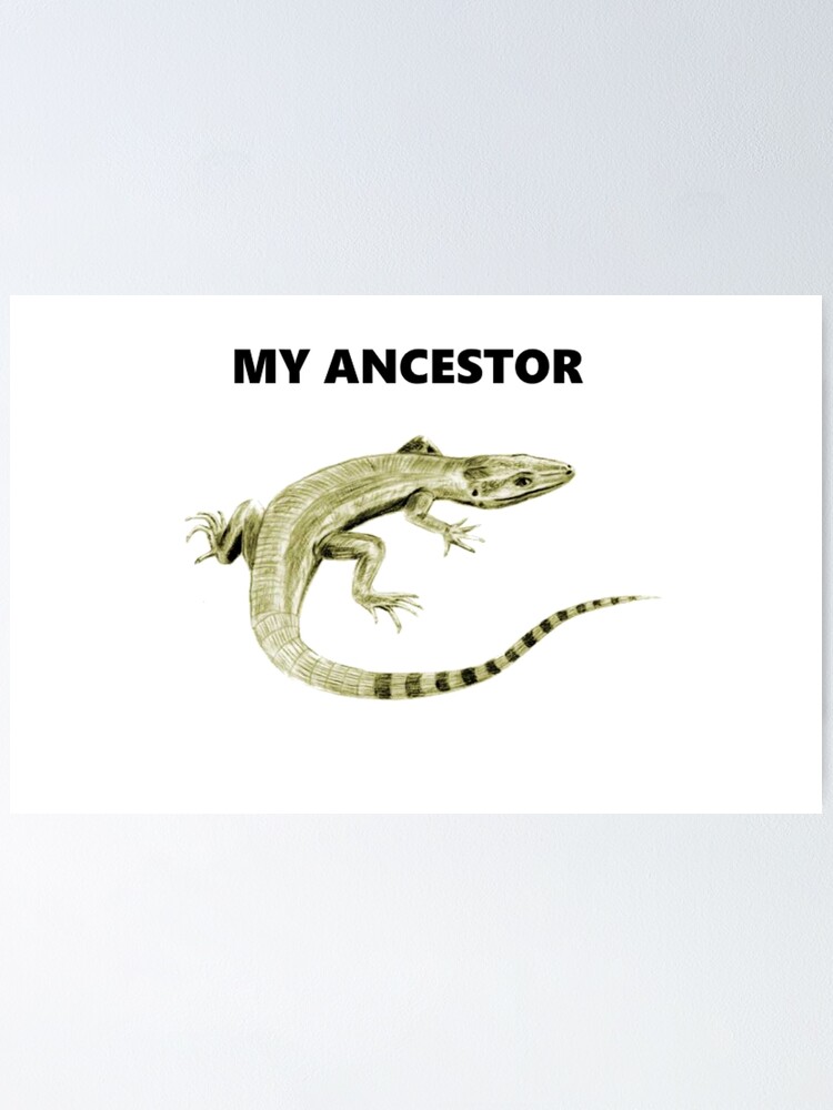 "My Ancestor Archaeothyris Synapsid" Poster by ComradeHairyAss | Redbubble