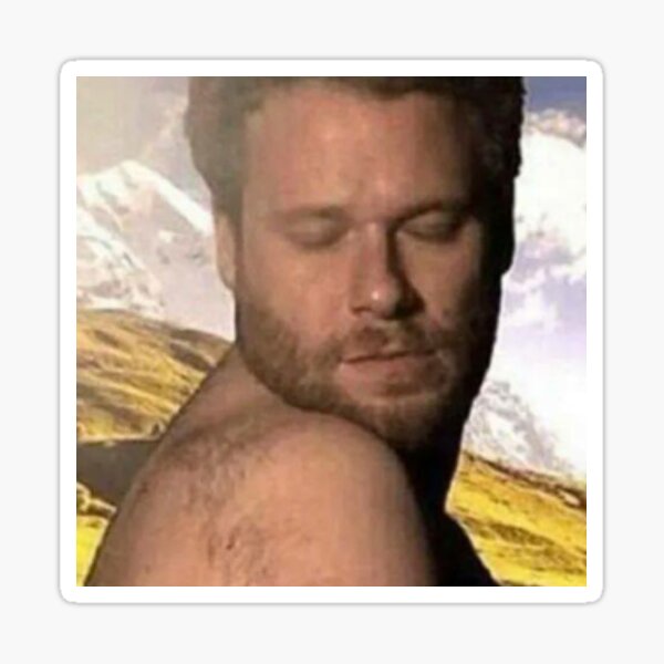 "Seth Rogan Bound" Sticker for Sale by Contrafiction | Redbubble
