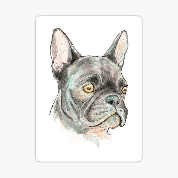 Frenchie Stickers | Redbubble