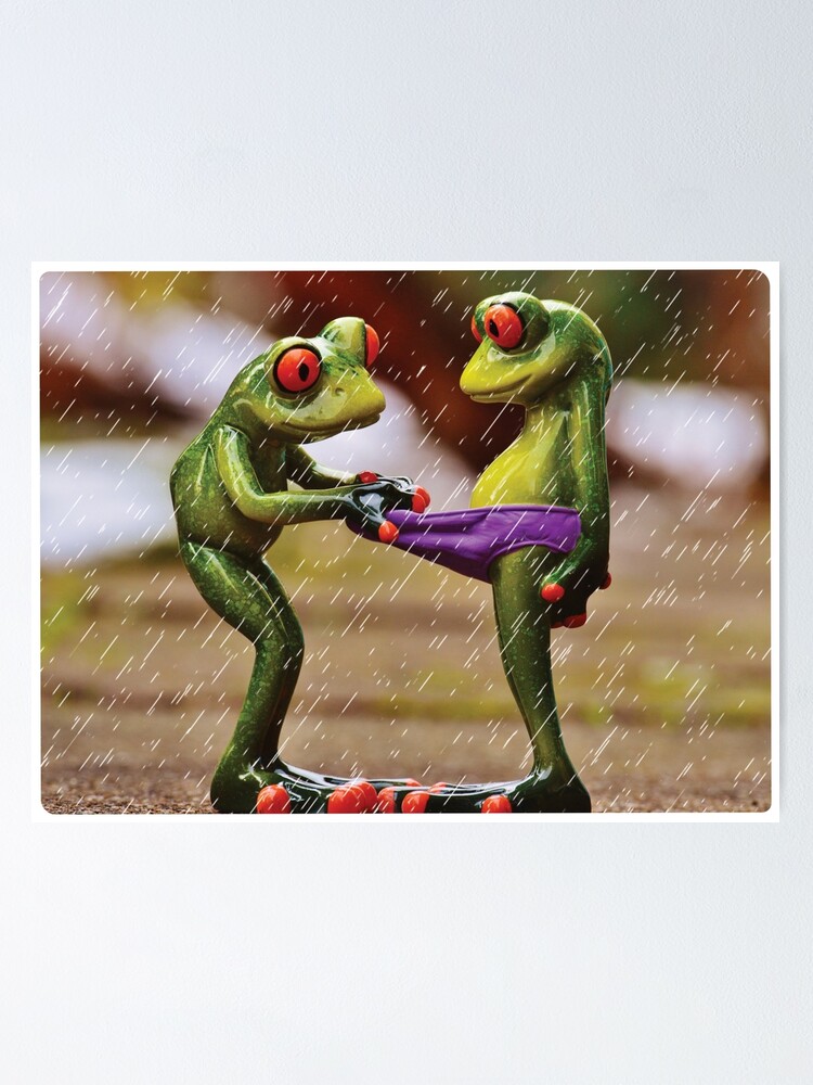 "Rude frog, frogs in love" Poster for Sale by 1No1chick1 | Redbubble