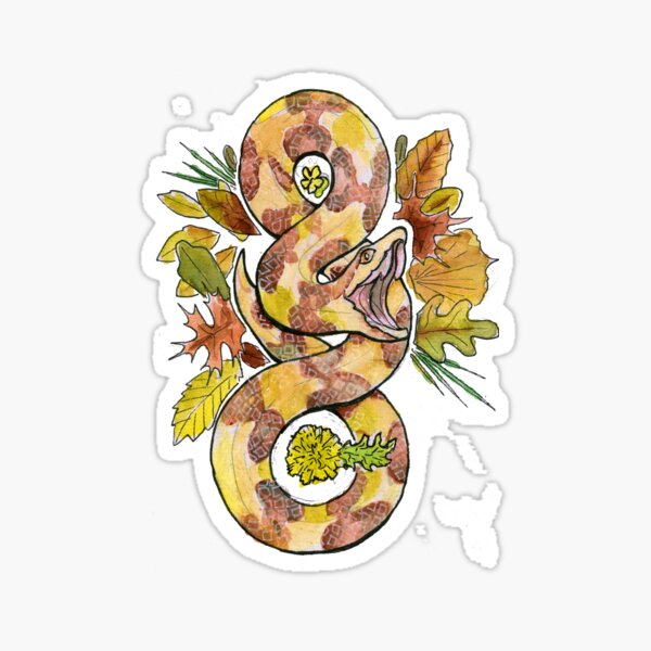 "Copperhead Watercolor" Sticker by trashraven | Redbubble