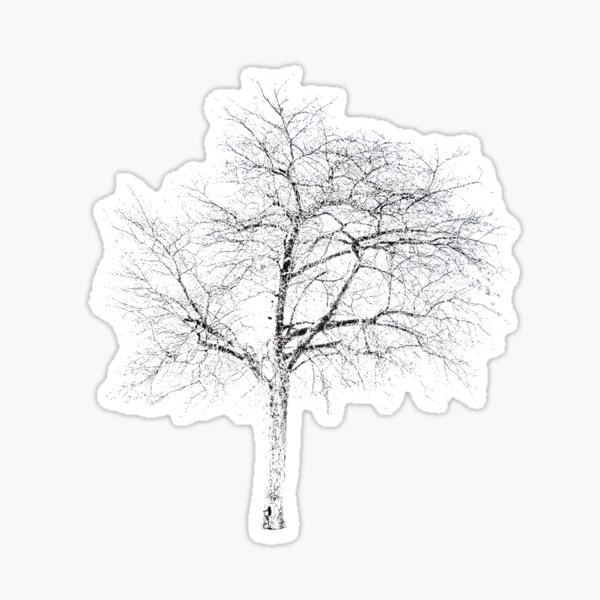 "winter tree drawing" Sticker for Sale by naturely-plants | Redbubble