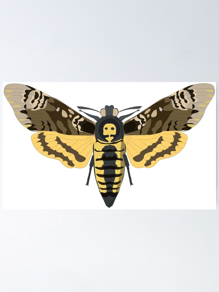 "DEATH MOTH" Poster for Sale by PHFurukawa | Redbubble
