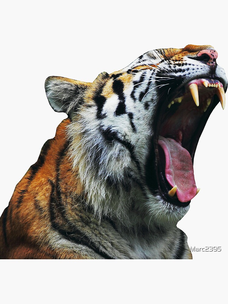 "Tiger cut" Sticker for Sale by Marc2395 | Redbubble