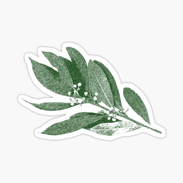"laurel branch" Sticker by soulysart | Redbubble