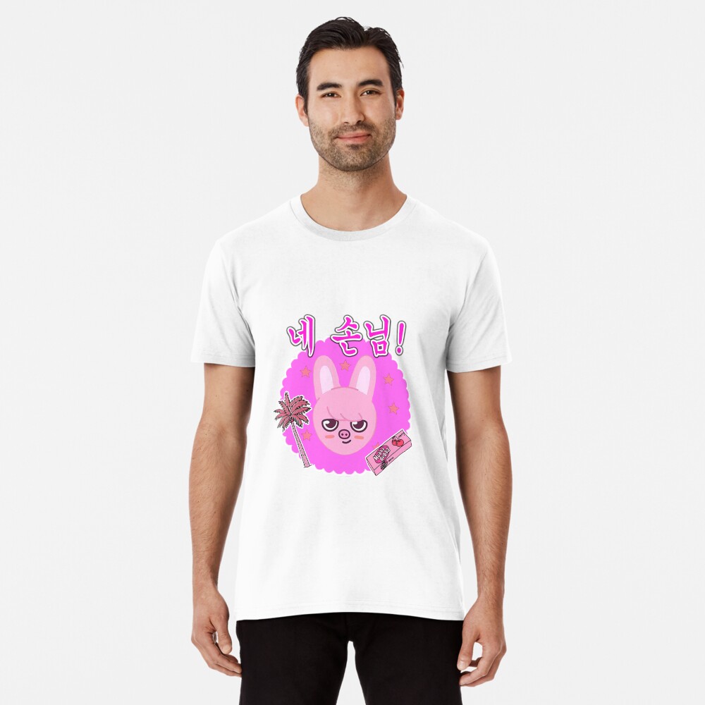 "Stray Kids SKZOO (Chanbin)" Sticker for Sale by HyunjinsSTAY | Redbubble