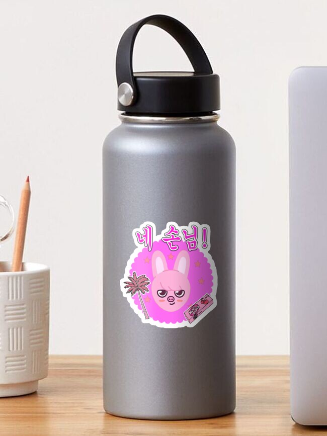 "Stray Kids SKZOO (Chanbin)" Sticker for Sale by HyunjinsSTAY | Redbubble