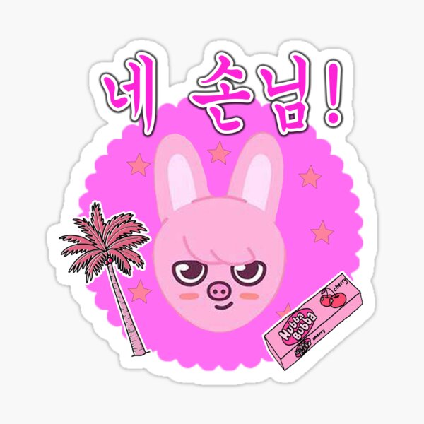 "Stray Kids SKZOO (Chanbin)" Sticker for Sale by HyunjinsSTAY | Redbubble
