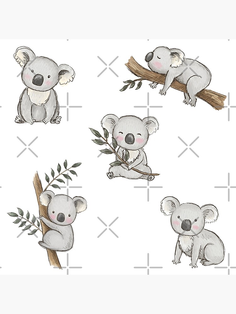 "Aussie Animals: Cute Koala Pack" Poster for Sale by thosepencils ...