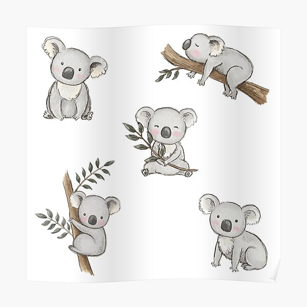 "Aussie Animals: Cute Koala Pack" Poster for Sale by thosepencils ...
