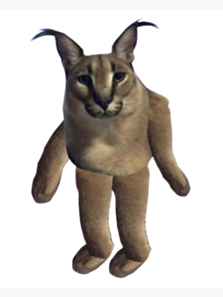 Lámina fotográfica «Floppa divertido» de lzxzxl | Redbubble