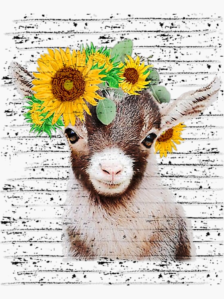 "Cute Baby Goat Sunflower Vintage Retro Goat Sun Flower" Sticker for ...