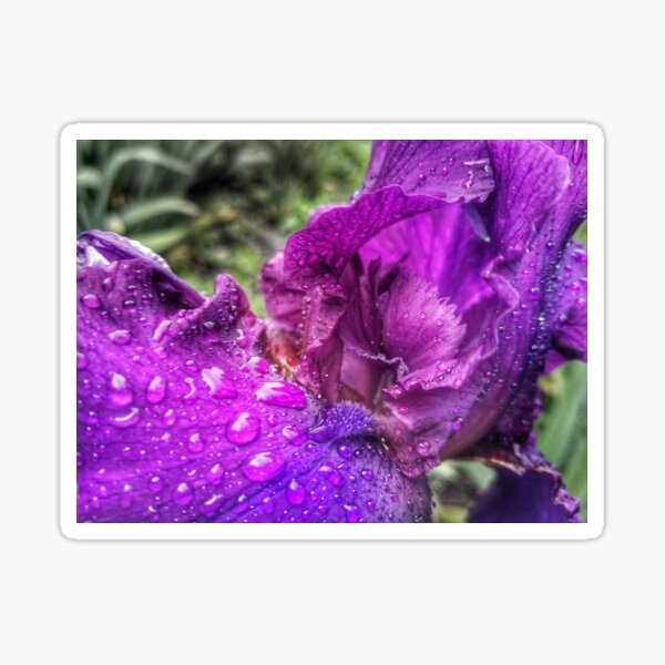 "Bloom! " Sticker by Lenock | Redbubble