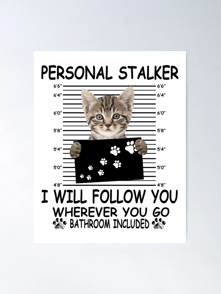 Stalker Cat Meme Clean