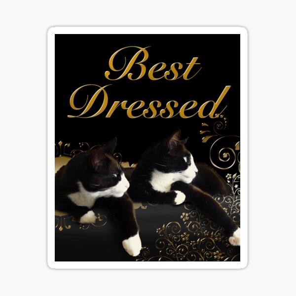 "Best Dressed" Sticker by Cat-agious | Redbubble