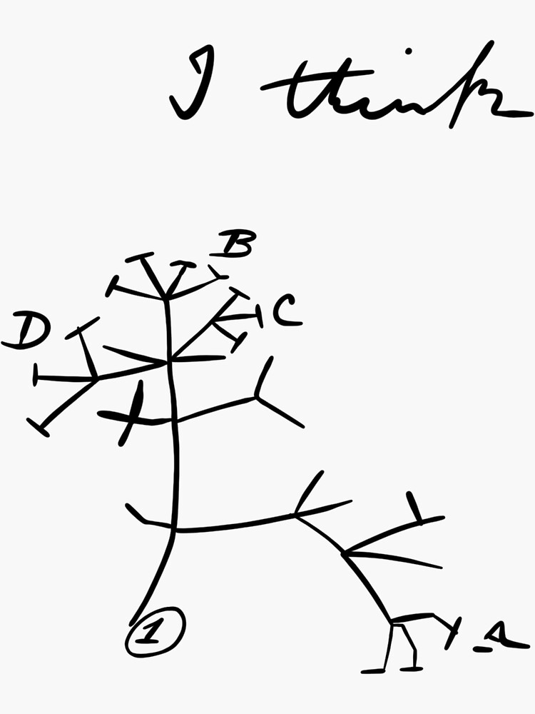 "Tree of life - Darwin" Sticker for Sale by VictoriaPereira | Redbubble