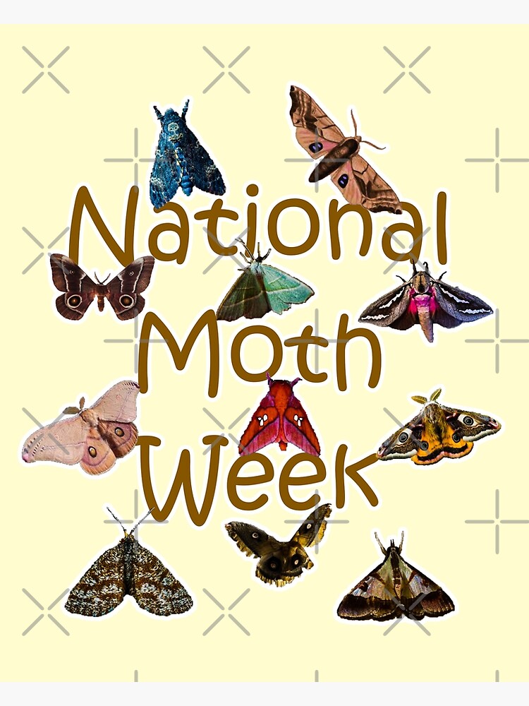 "National Moth Week" Poster for Sale by beaugence | Redbubble