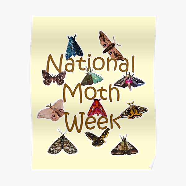 "National Moth Week" Poster for Sale by beaugence | Redbubble