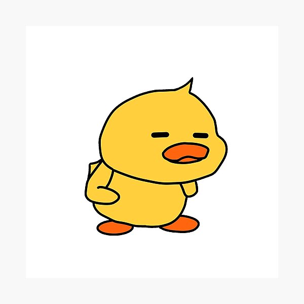 "sleepy duck meme" Photographic Print for Sale by meoku | Redbubble