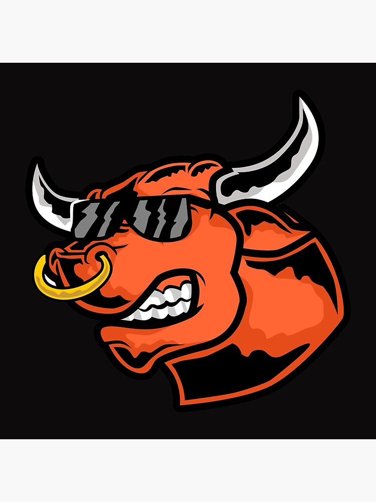 Funny Bulls Logo
