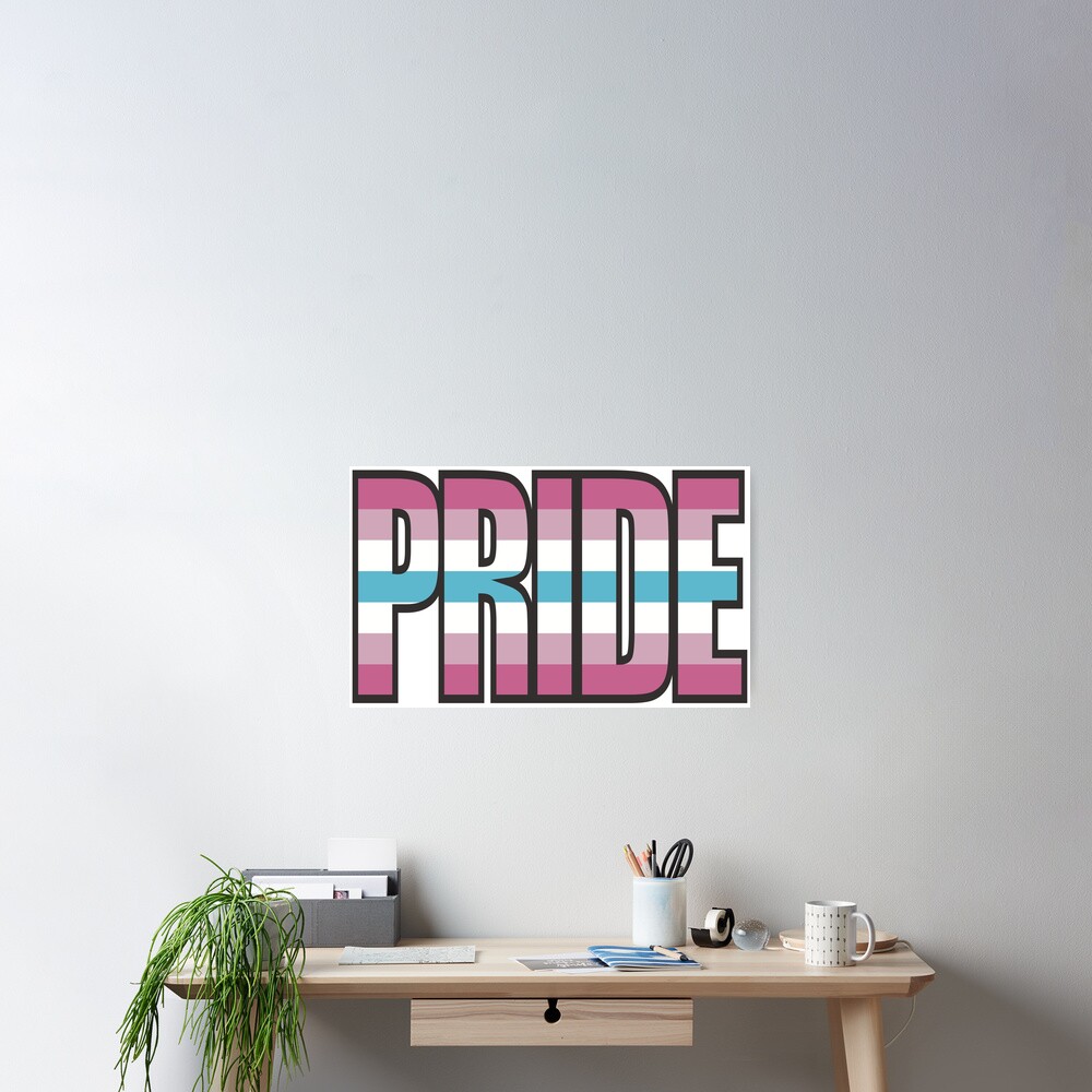 Póster «Bandera de Femboy - Bandera del Orgullo de Femboy» de ...