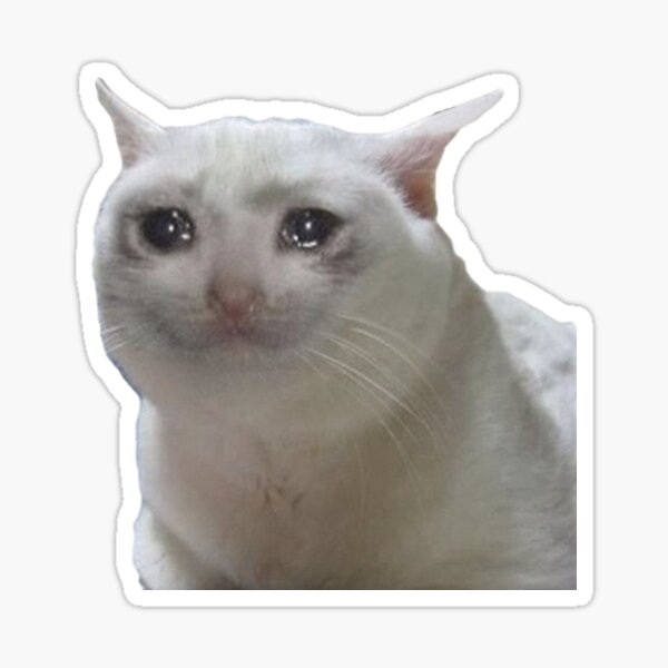"Cute Crying Cat Meme" Sticker for Sale by Theninjasbro | Redbubble