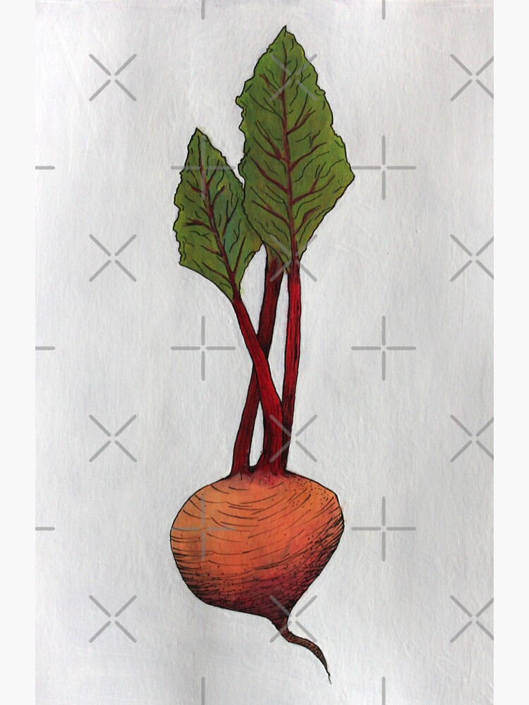 "Beet" Sticker by carobeams | Redbubble