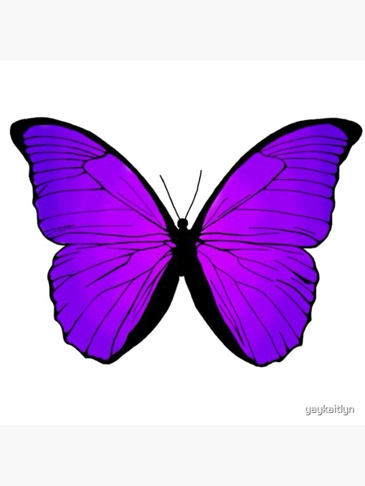 "Purple Butterfly" Poster by yaykaitlyn | Redbubble