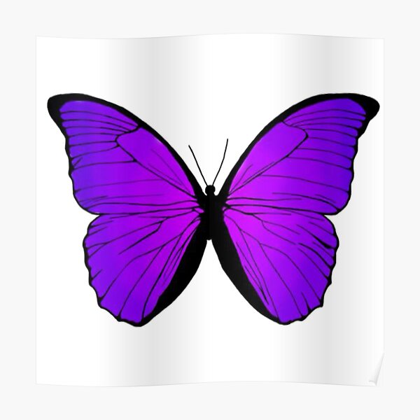"Purple Butterfly" Poster by yaykaitlyn | Redbubble