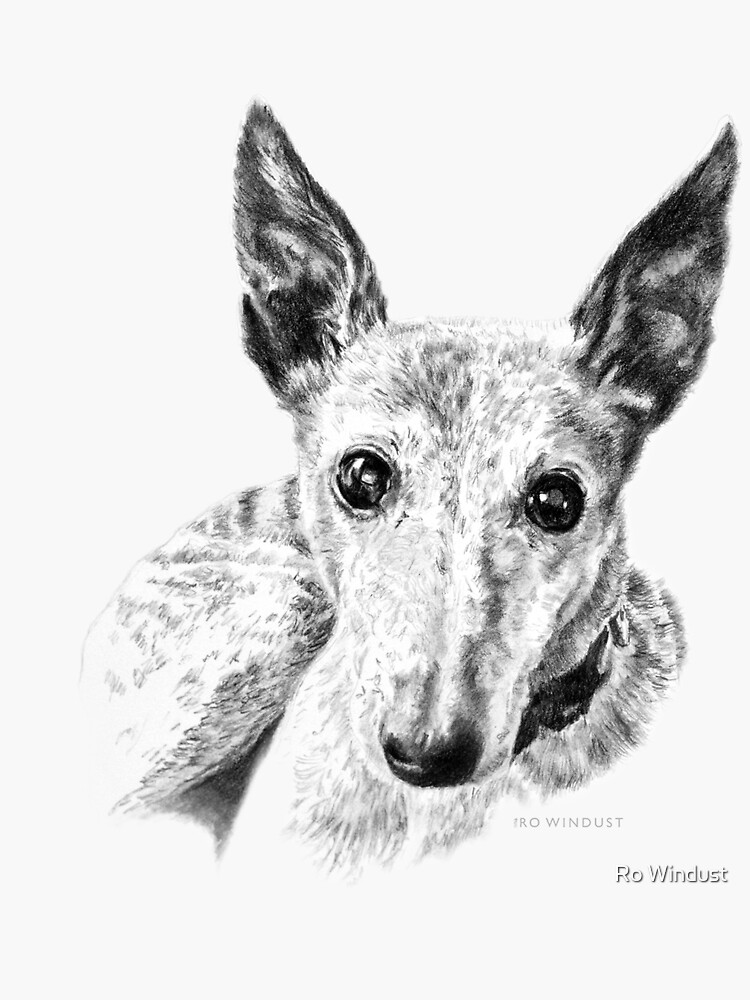 "Tiger the Whippet" Sticker for Sale by rowindust | Redbubble