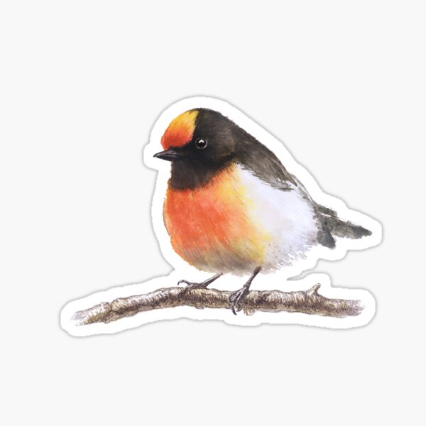 "Cute Redcap Robin and lovely Robin brings us good luck. Watercolor ...