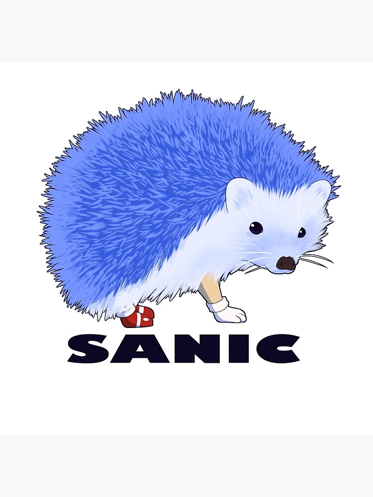 "Sanic the realistic hedgehog" Poster for Sale by Sara-T | Redbubble
